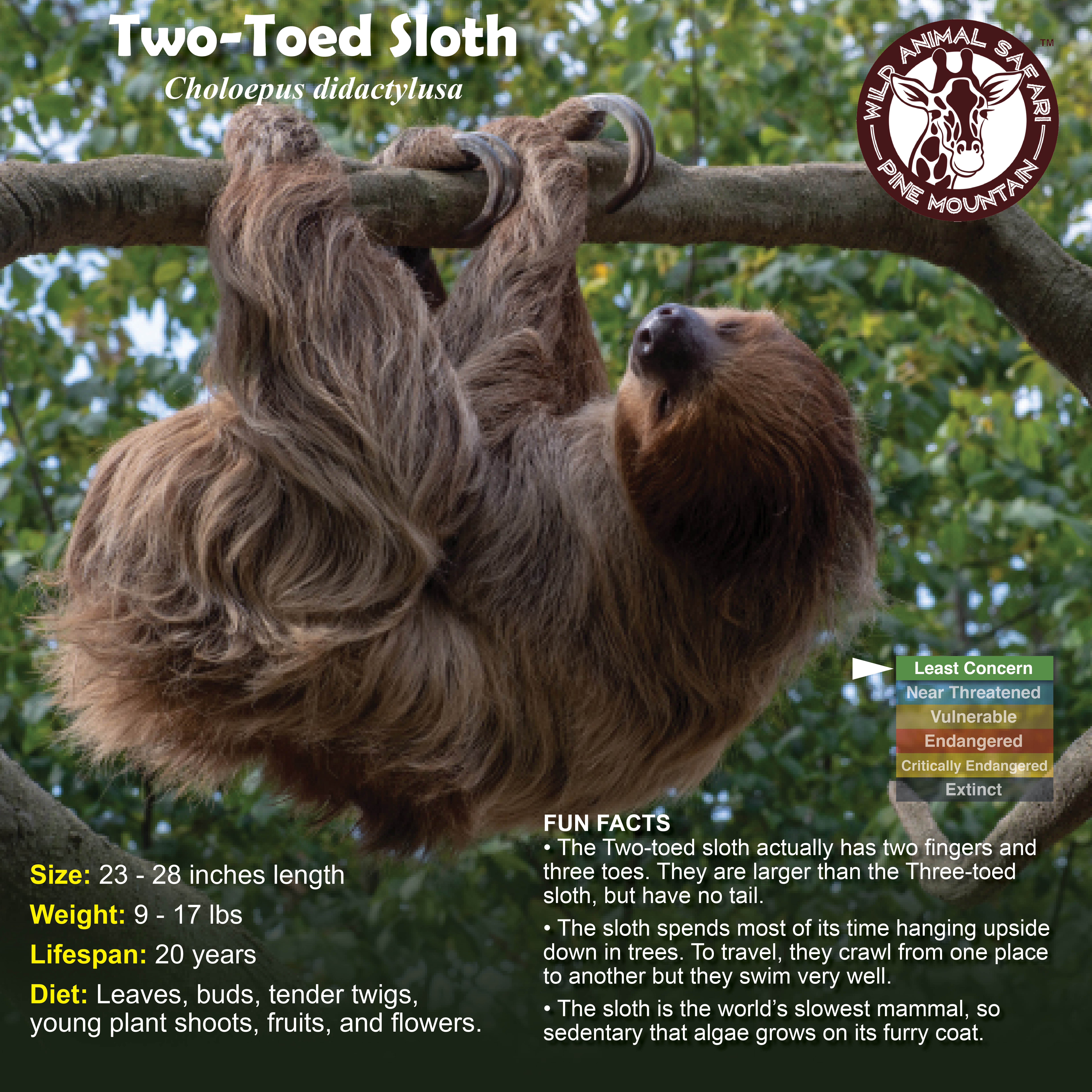 Zoo Print Products